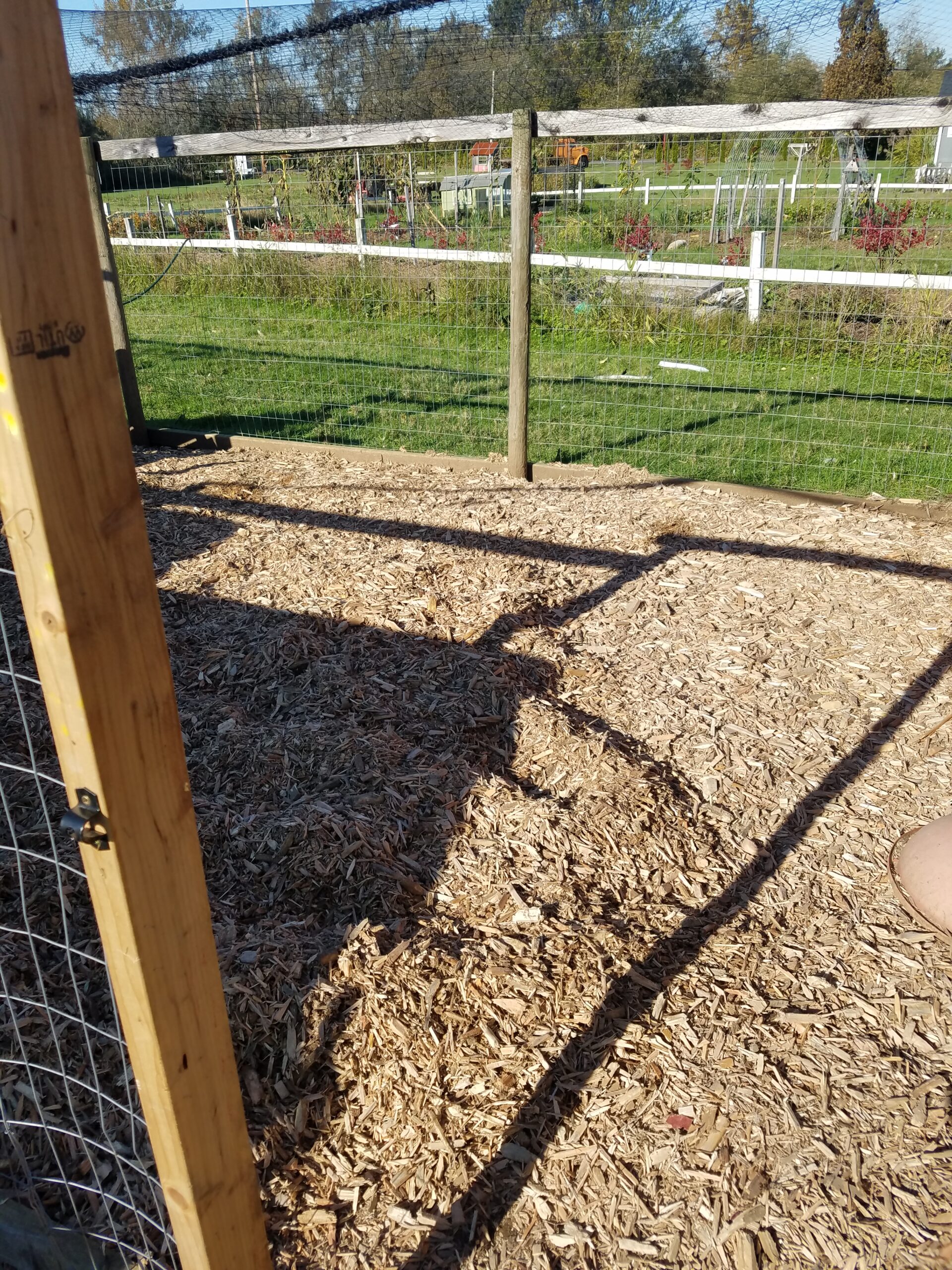 How to Winterize the Chicken Run - Simple Life in the Country