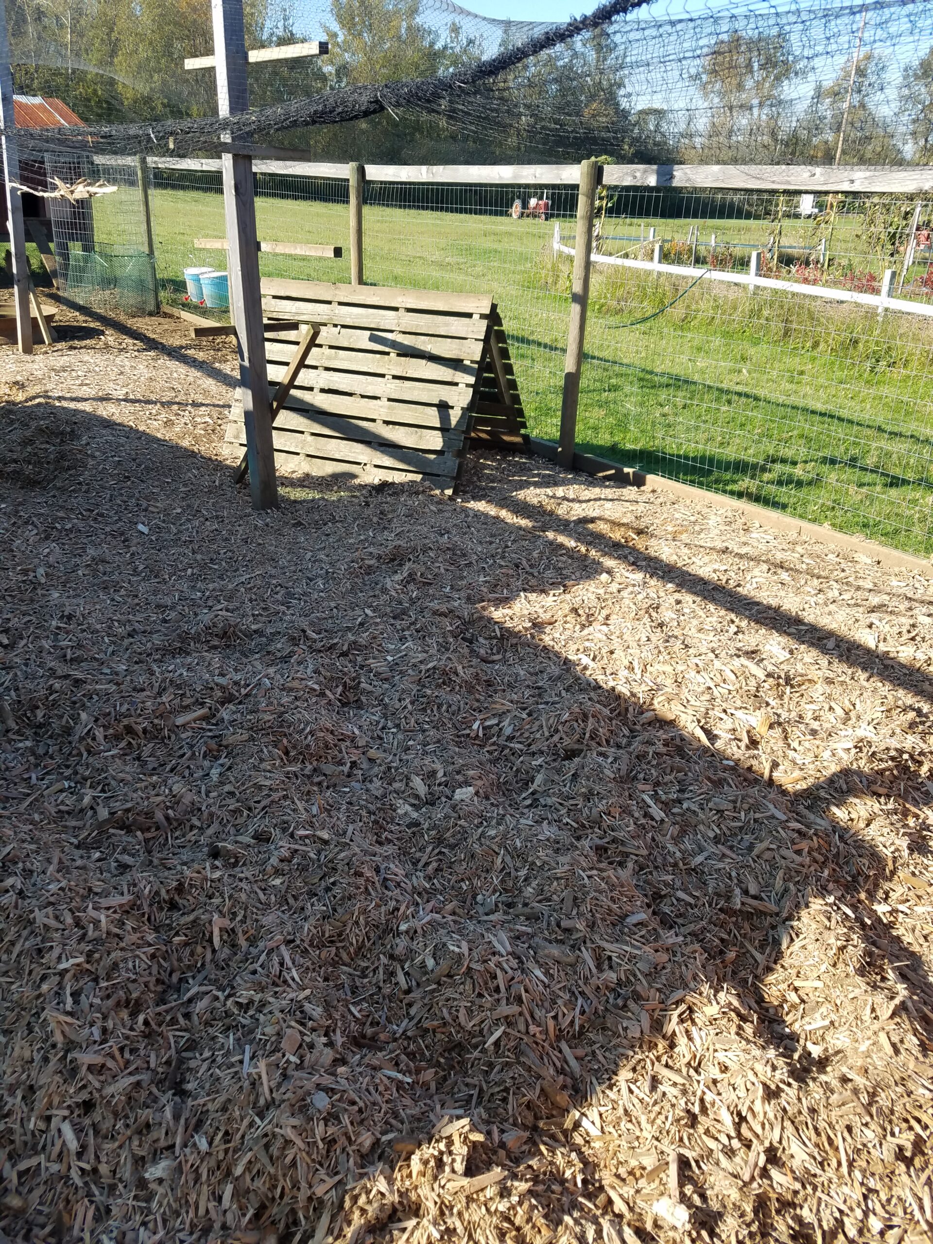 How to Winterize the Chicken Run - Simple Life in the Country