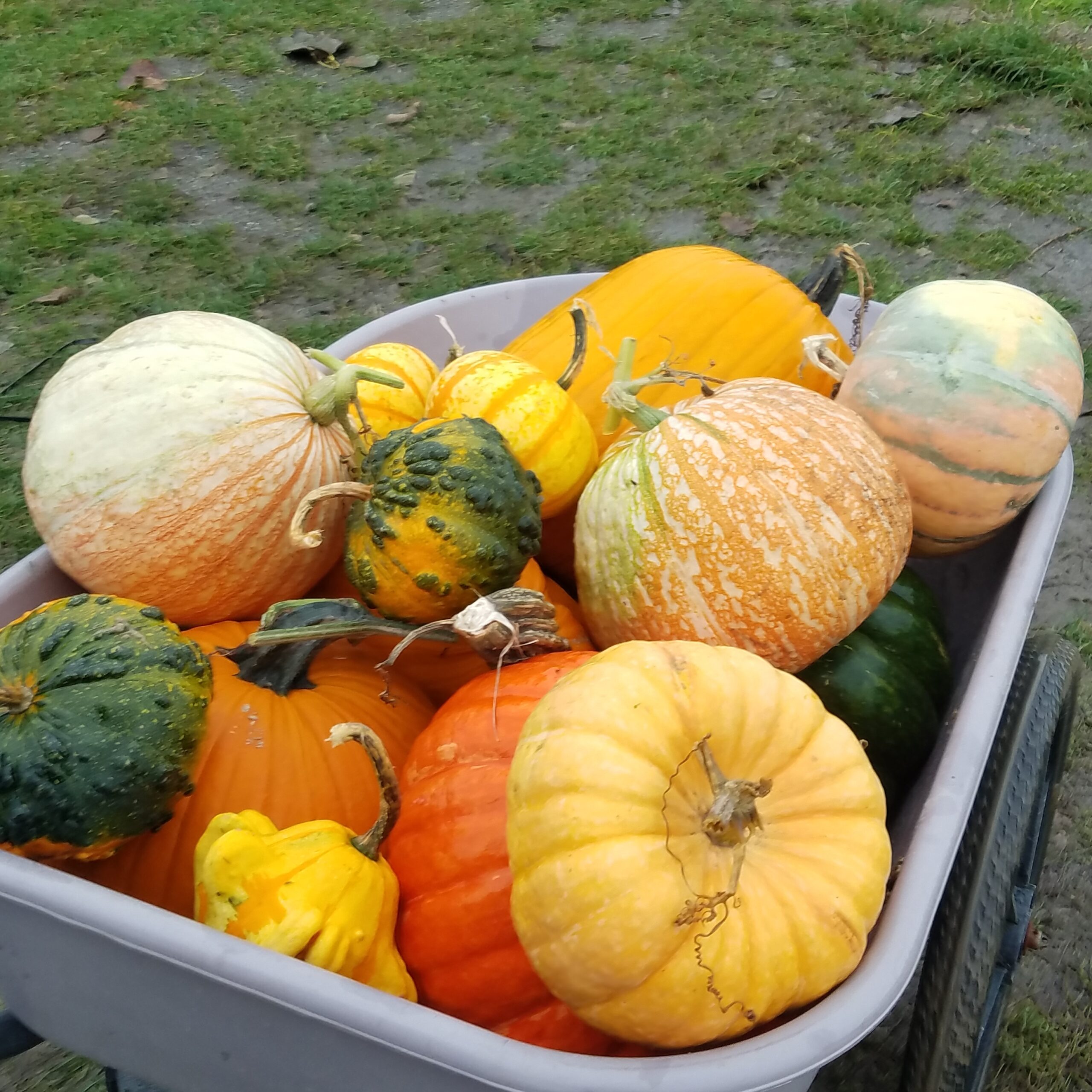 Fall Front Porch: Using Unique Natural Items from the Nature - Simple ...