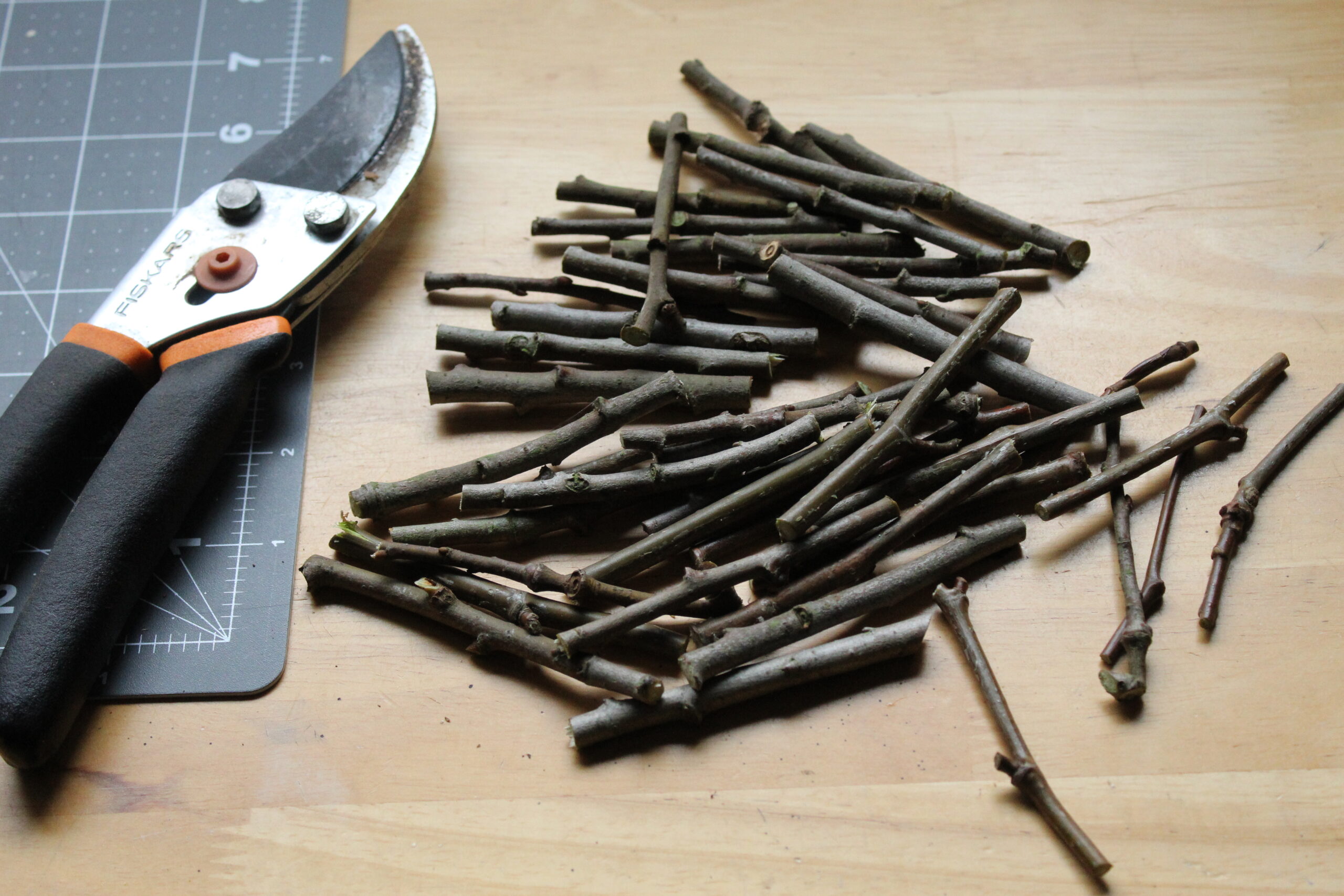 How to make Inexpensive Twig Star Ornaments - Simple Life in the Country