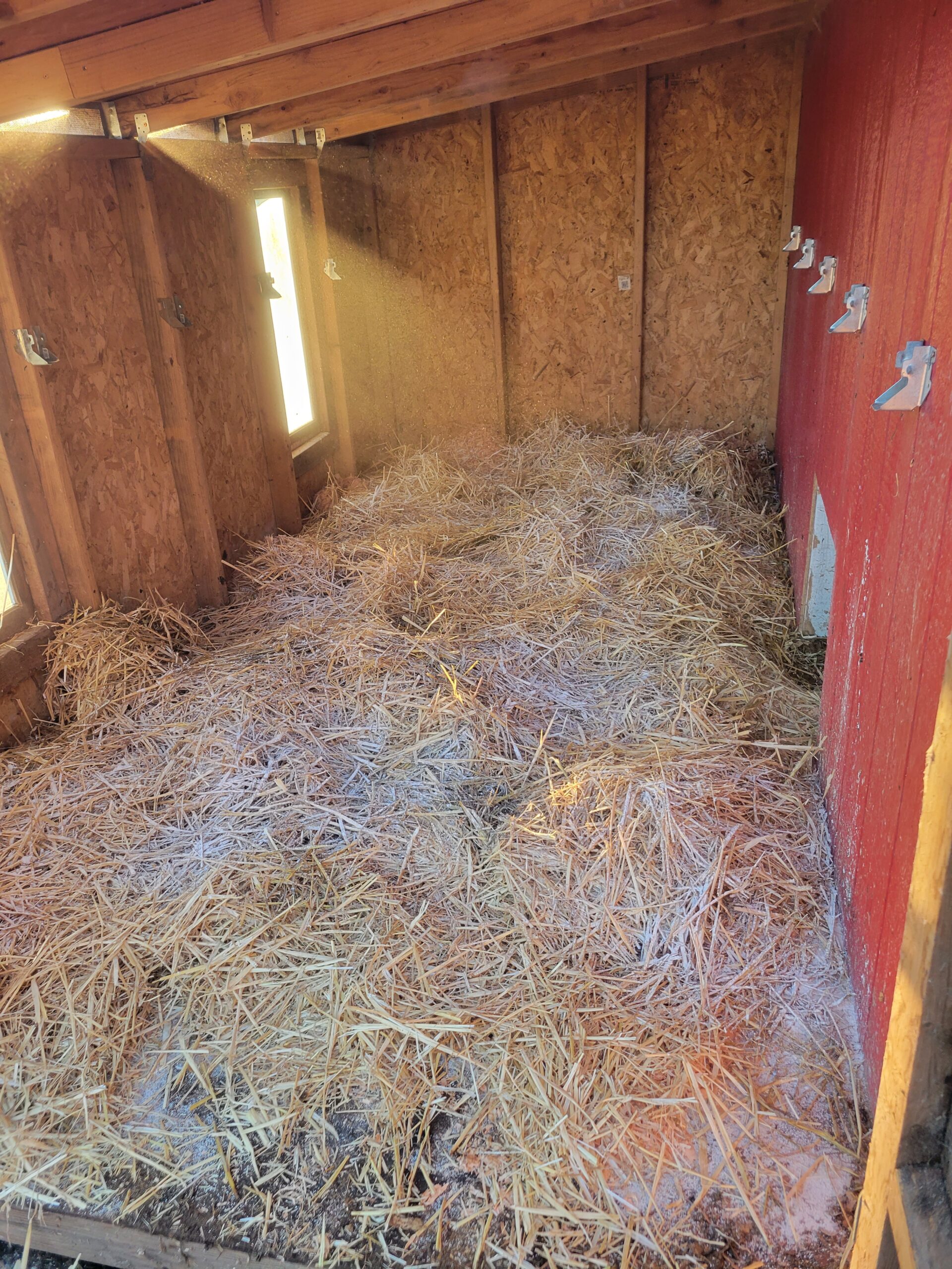 Deep Cleaning the Hen House Twice a Year - Simple Life in the Country