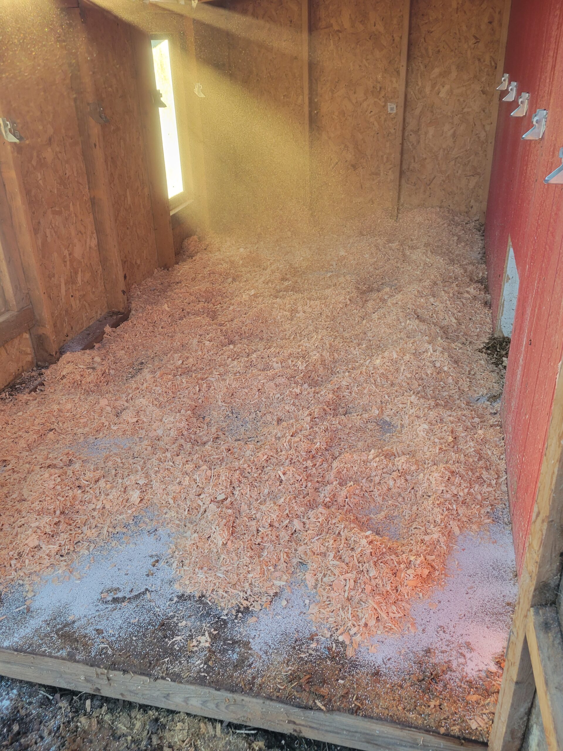 Deep Cleaning the Hen House Twice a Year - Simple Life in the Country